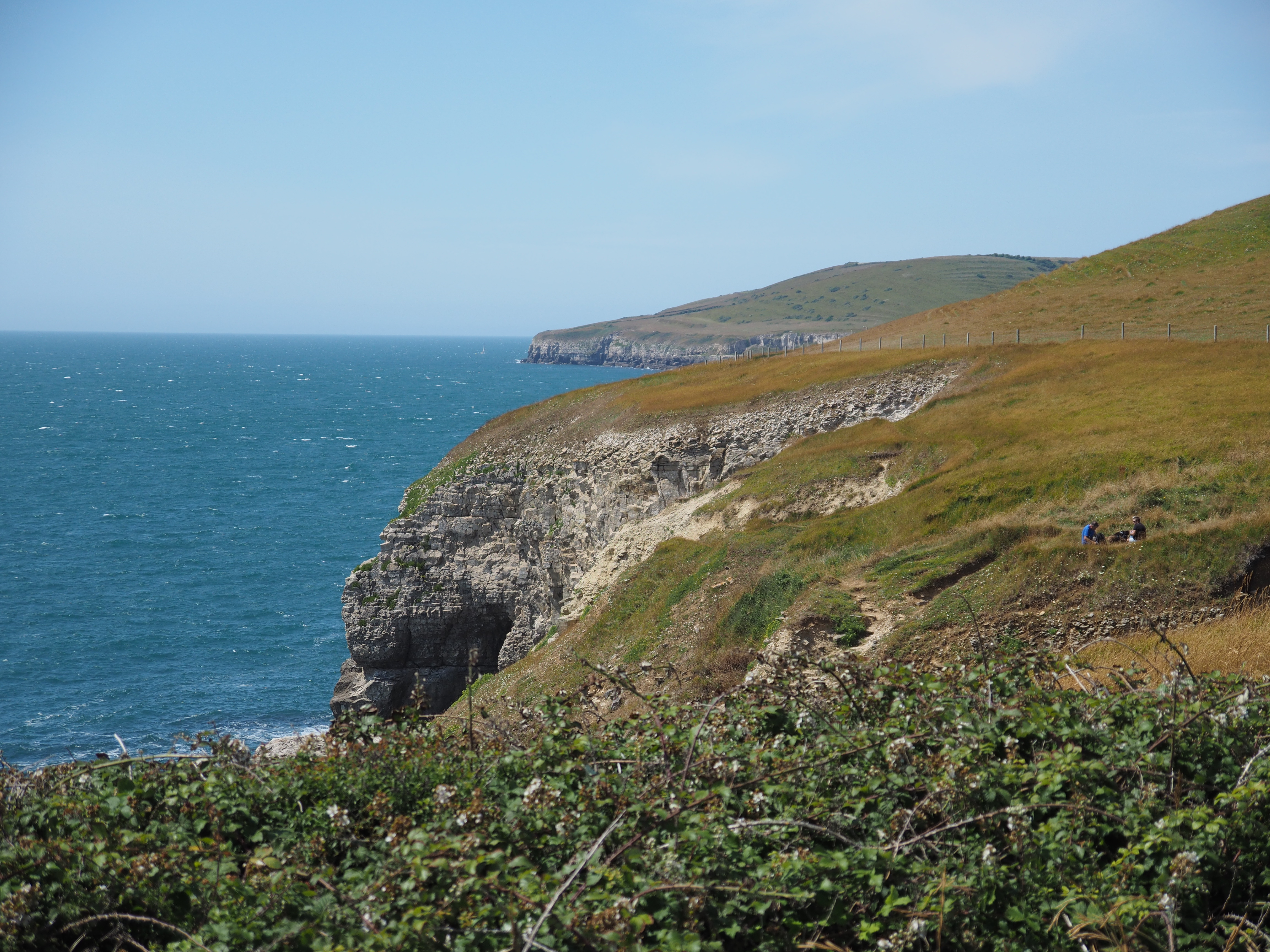 Durlston Nature Reserve – Campervan Therapy